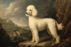 The Fascinating History of the Poodle Breed Explained