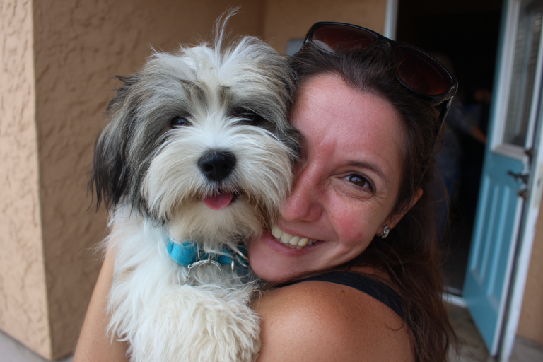 Havanese Training Basics: Start Your Pup on the Right Paw