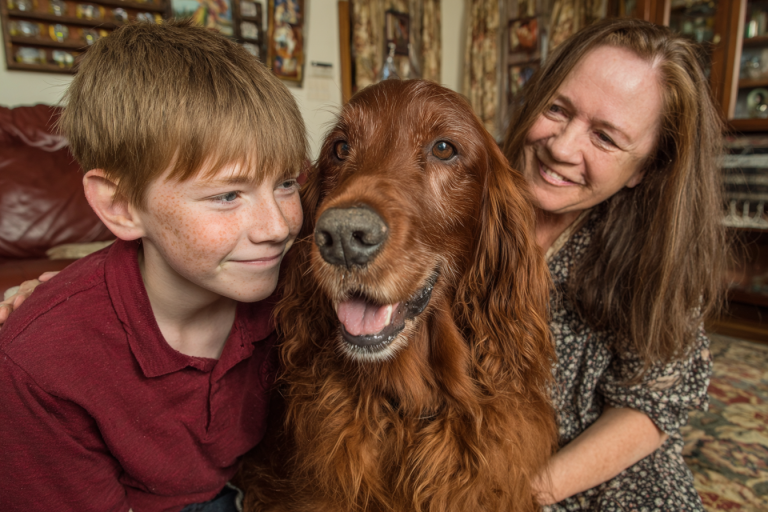 A Guide to Irish Setter Rescue and Adoption: Giving a Dog a Second Chance