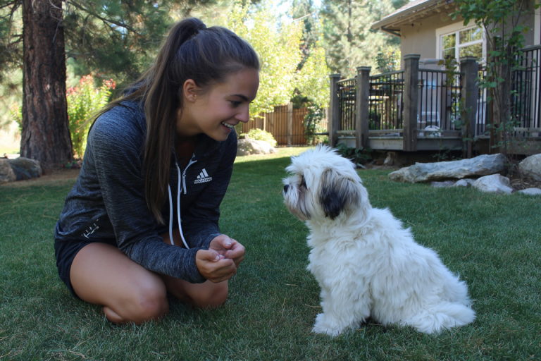 Understanding the Health and Lifespan of Your Lhasa Apso