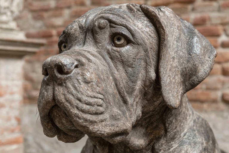 The Fascinating History and Origin of the Neapolitan Mastiff